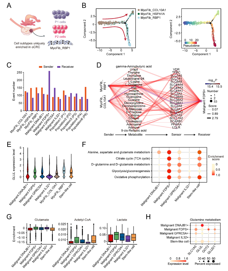GUT (IF: 23.0) | 单细胞+空间转录组破译结直肠癌异质肿瘤干细胞器官特异性转移机制_结肠癌转移 干性 单细胞测序-CSDN博客