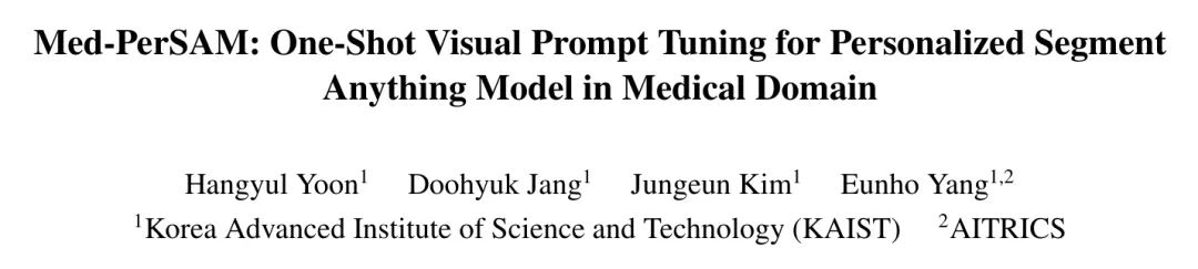 Med-PerSAM:医学领域个性化分段任意模型的一击视觉提示调优 !_promot提示医学sam-CSDN博客