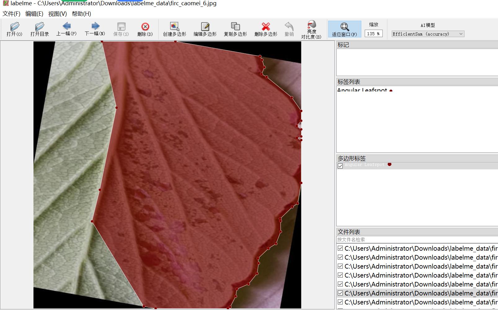 草莓叶子病害识别分割数据集labelme格式6110张7类别_angular leaf spot-CSDN博客