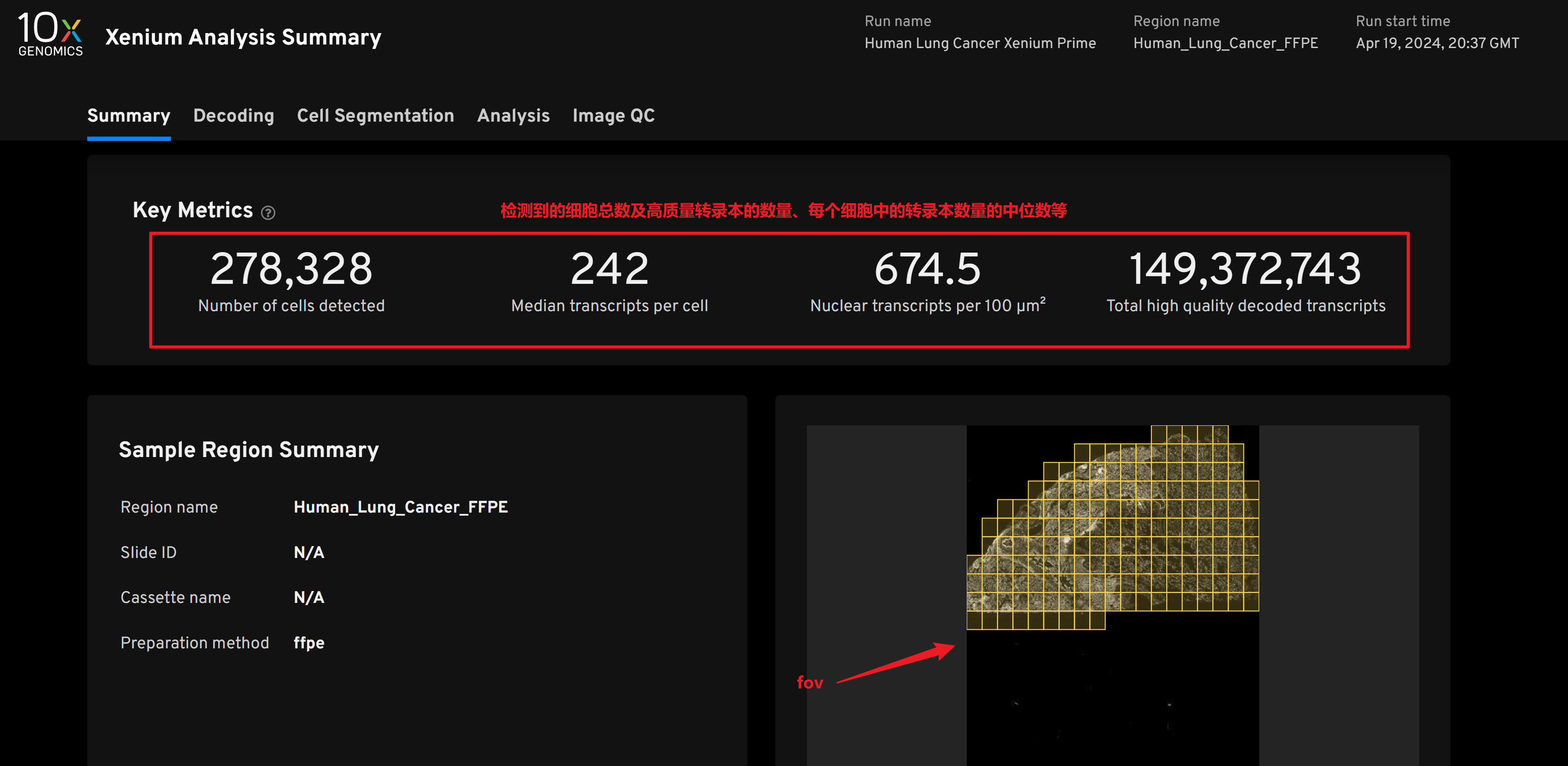Xenium数据输出介绍-CSDN博客