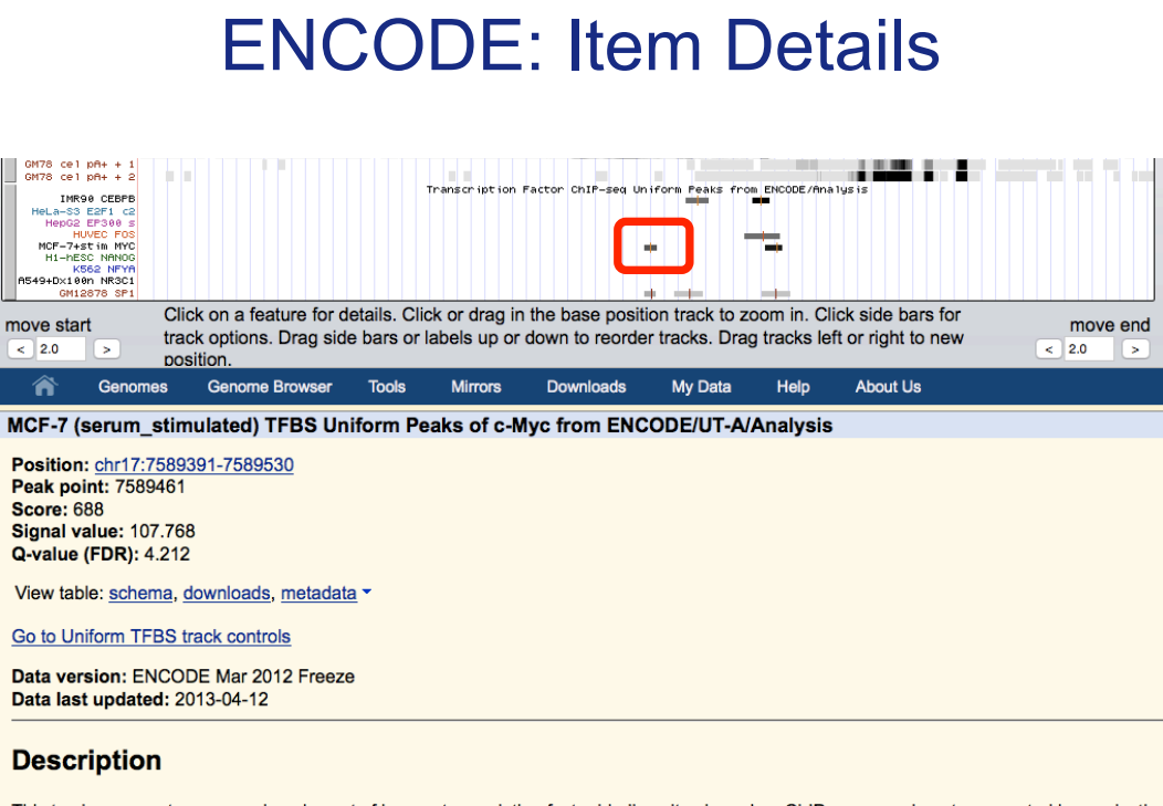 Genome browser：UCSC基因组浏览器-ENCODE数据整合-CSDN博客