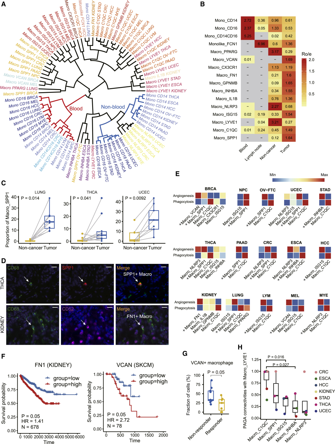 跟着《Nature》和《Cell》学Ro/e分析-CSDN博客