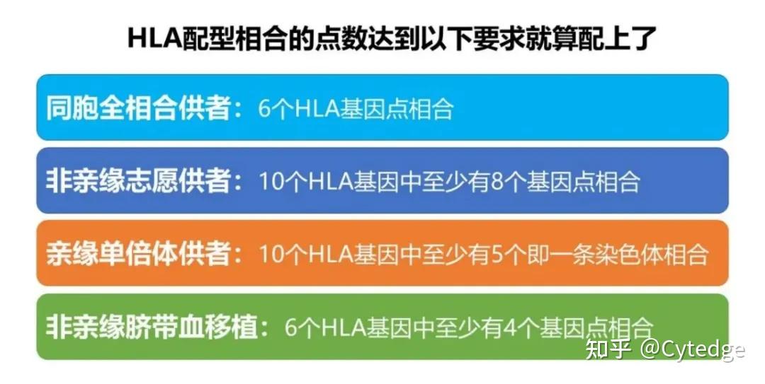 NK细胞的HLA和KIR的配型_kir b型-CSDN博客