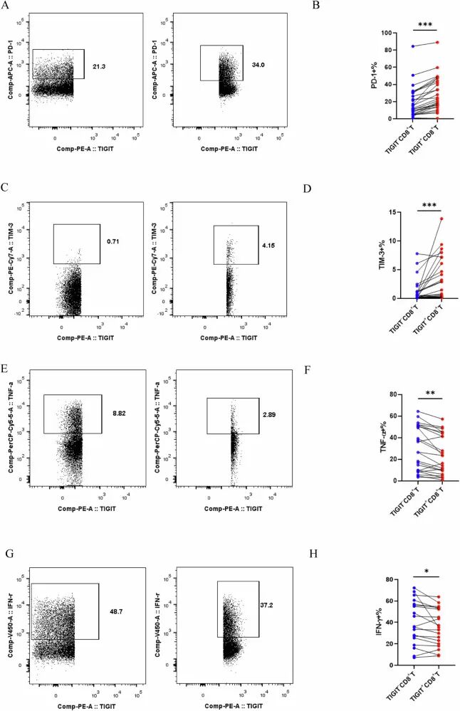 IF=9.6| 肝外胆管癌中的TIGIT表达及其对CD8+T细胞耗竭的影响对免疫治疗的启示-CSDN博客