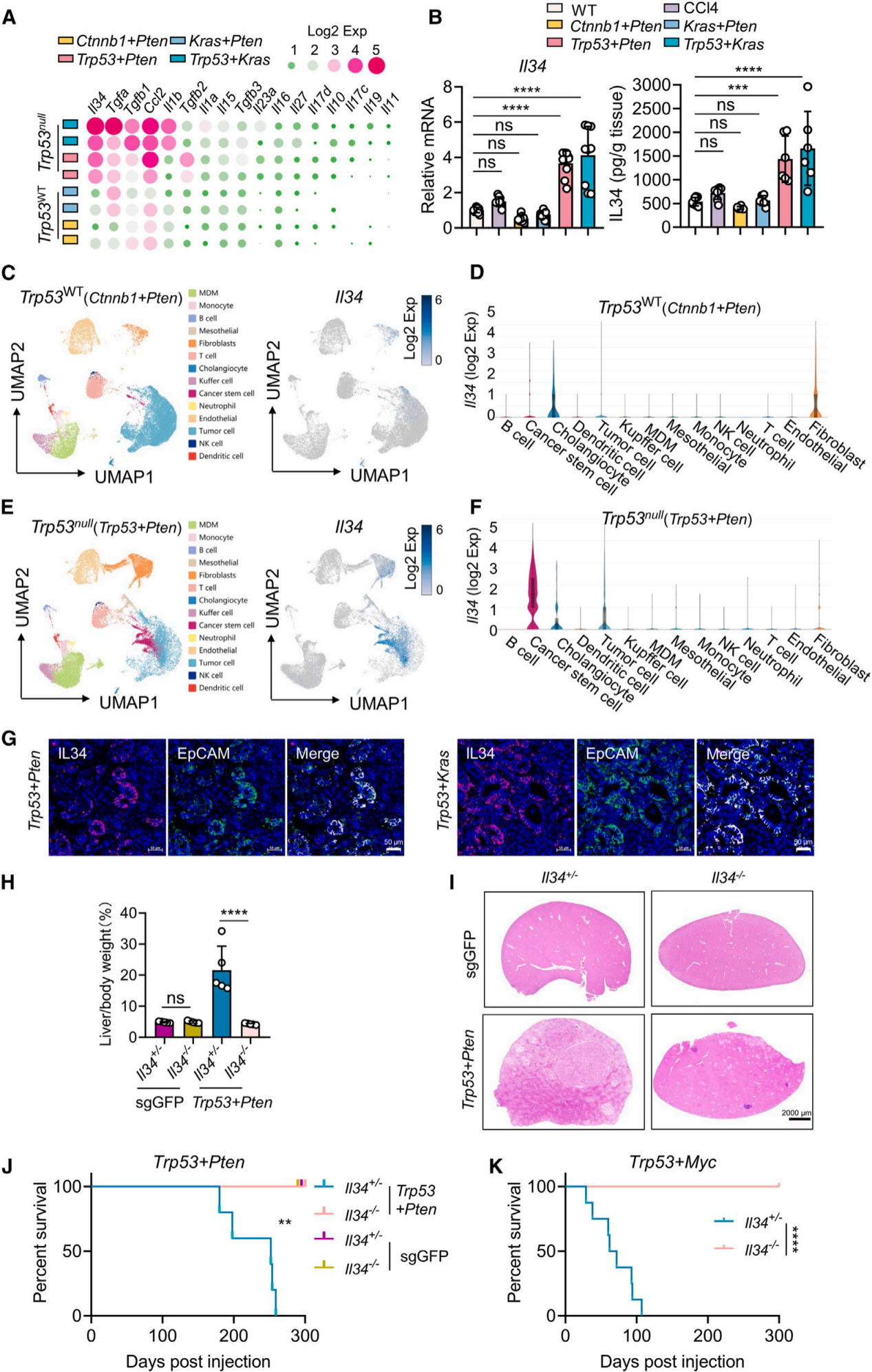 Multiplex Fluorescence IHC Technology: Unveiling the Mechanisms of ...