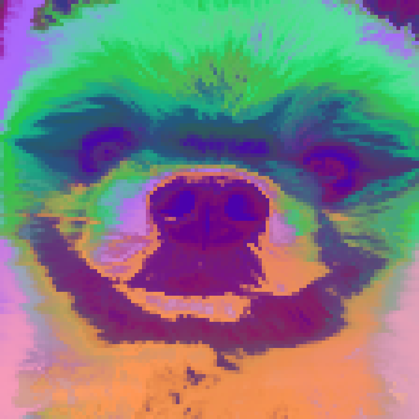 上采样方法Upsample Anything实验复现-CSDN博客