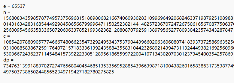 [WUSTCTF 2020]leak_rsa中dp是什么-CSDN博客