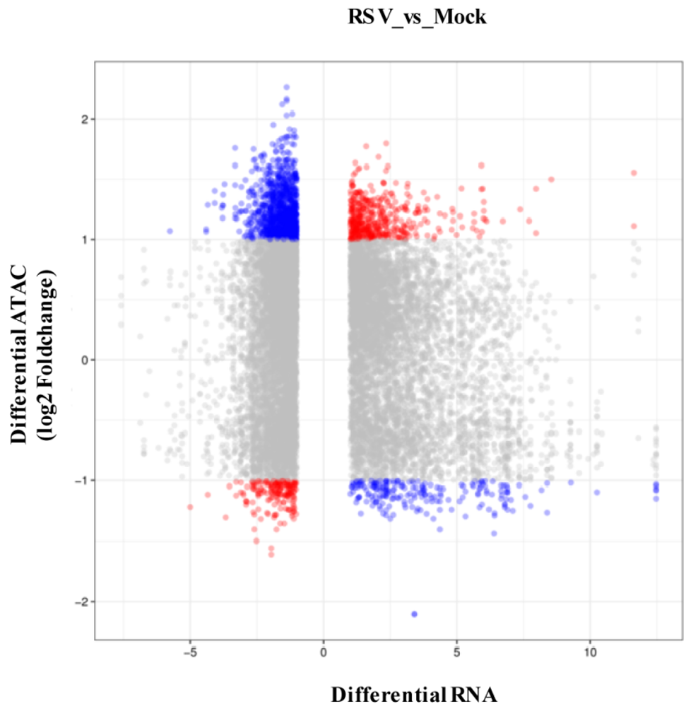ATAC-seq和RNA-seq联合分析获得转录因子_sc atac 转录因子足迹分析-CSDN博客