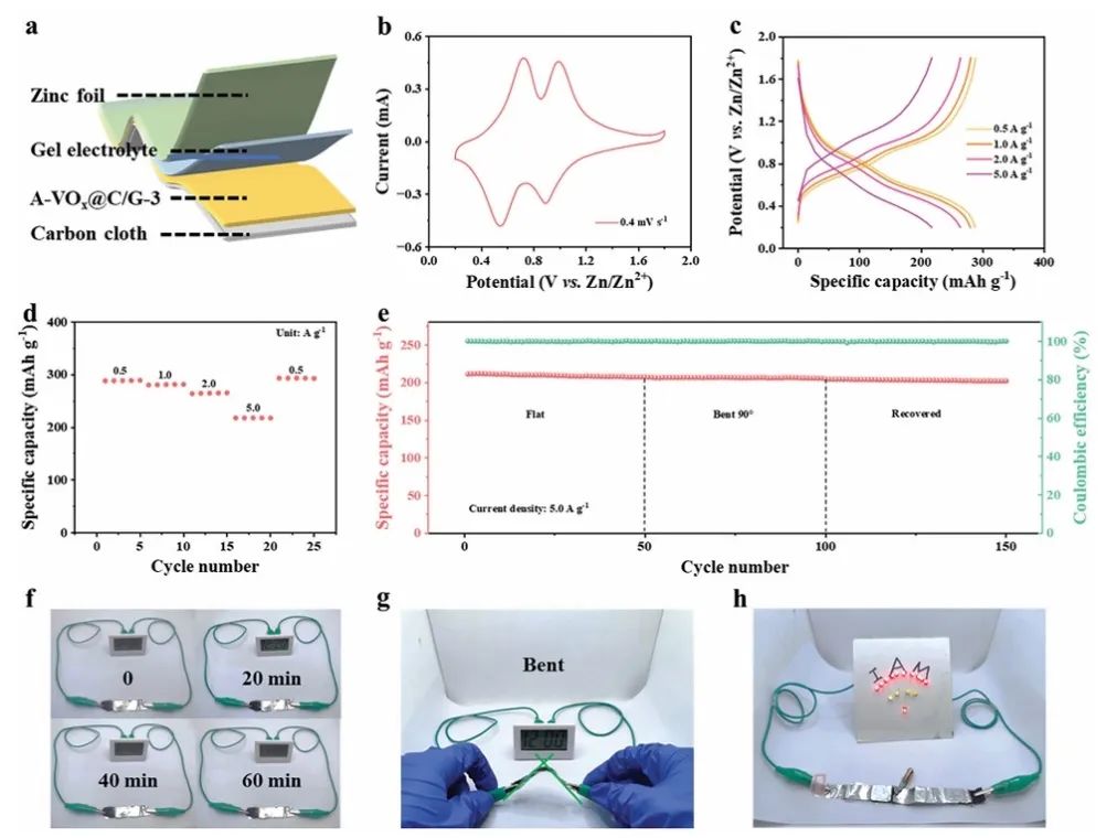 2000 次，91%！南工大/兰大，联合发表AFM！-CSDN博客