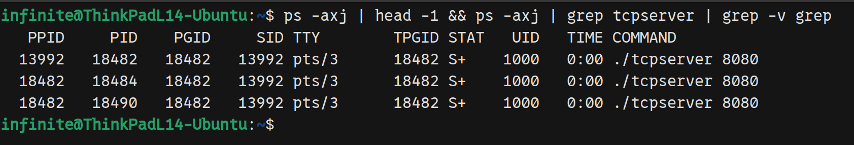 TcpServer：面向连接的可靠网络传输_tcp server-CSDN博客