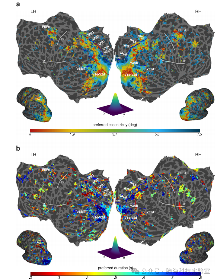 往期精彩|Nature子刊：新发现！大脑如何处理空间和时间信息-CSDN博客