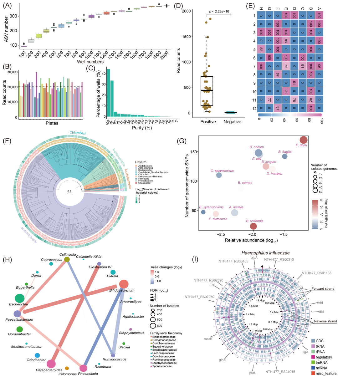 iMeta | 刘永鑫组-开发微生物组数据分析与可视化平台MicrobiomeStatPlots-CSDN博客