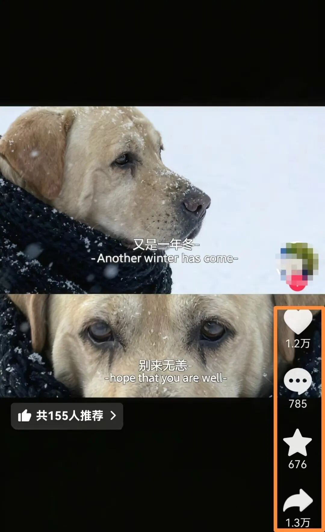 1.2W赞爆款毛绒宠物AI教程来了！3步Get同款雪地电影，你家猫犬也能成网红-CSDN博客