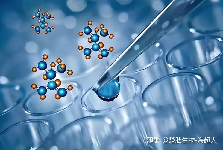 His-Cys-Lys-Phe-Trp-Trp ；172546-75-7，HC KFWW-CSDN博客