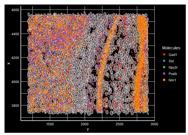 SCS 46.Seurat v5解析单细胞空转数据(Xenium)-CSDN博客