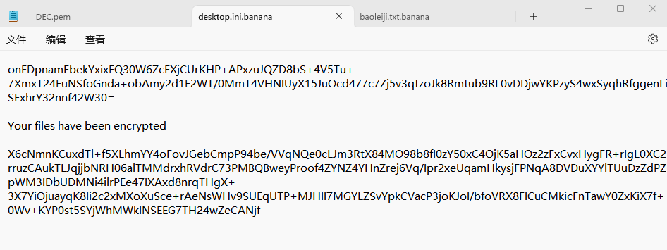 第四章 windows实战-向日葵_windows实战--黑页&&篡改-CSDN博客