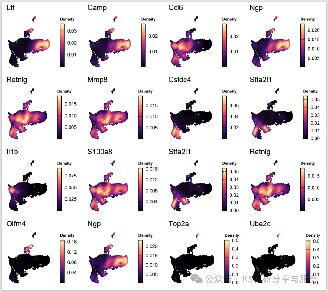 单细胞marker基因表达密度图-(还有一个包装函数）_单细胞分析基因分布密度的函数-CSDN博客