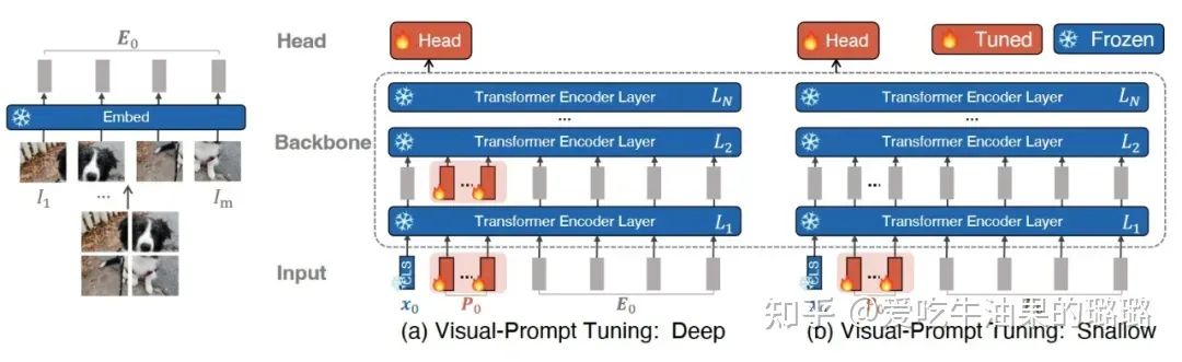 万字详解，大模型提示学习（Prompt Learning ）和微调 （Prompt Tuning）_大模型系统提示符-CSDN博客
