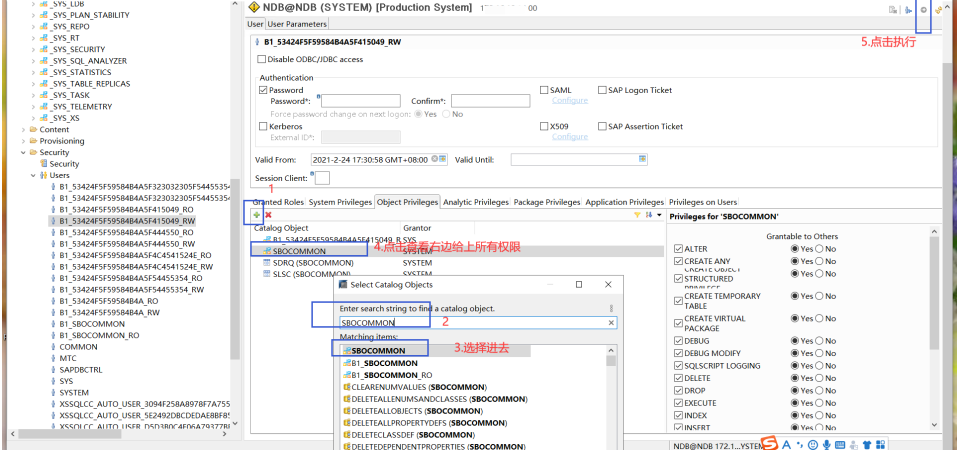 SAP B1 10.0 数据库还原后 SBOCOMMON权限赋值_sbo-common-CSDN博客