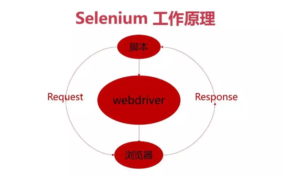 搞懂webdriver的底层原理，才敢说自己懂自动化测试！-CSDN博客