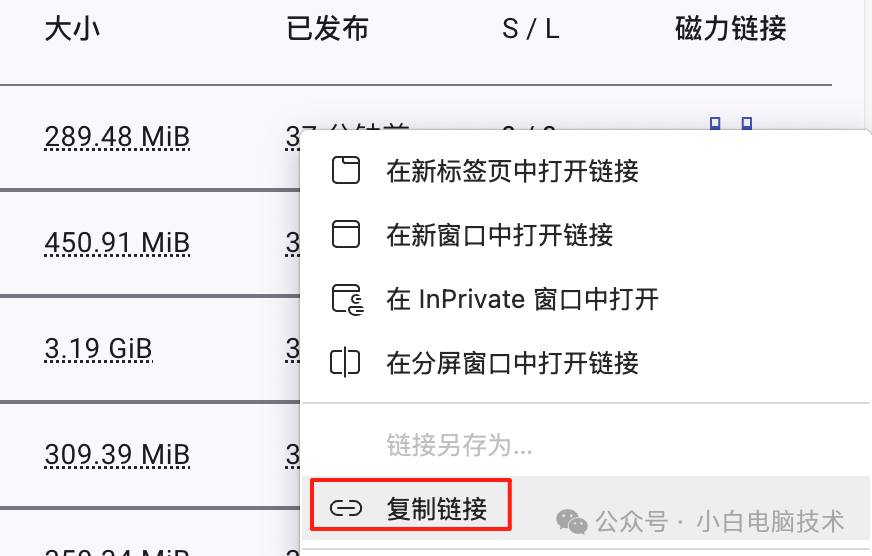 你还在找资源？自己动手部署吧！就怕撑爆你的飞牛NAS存储空间……_bitmagnet-CSDN博客