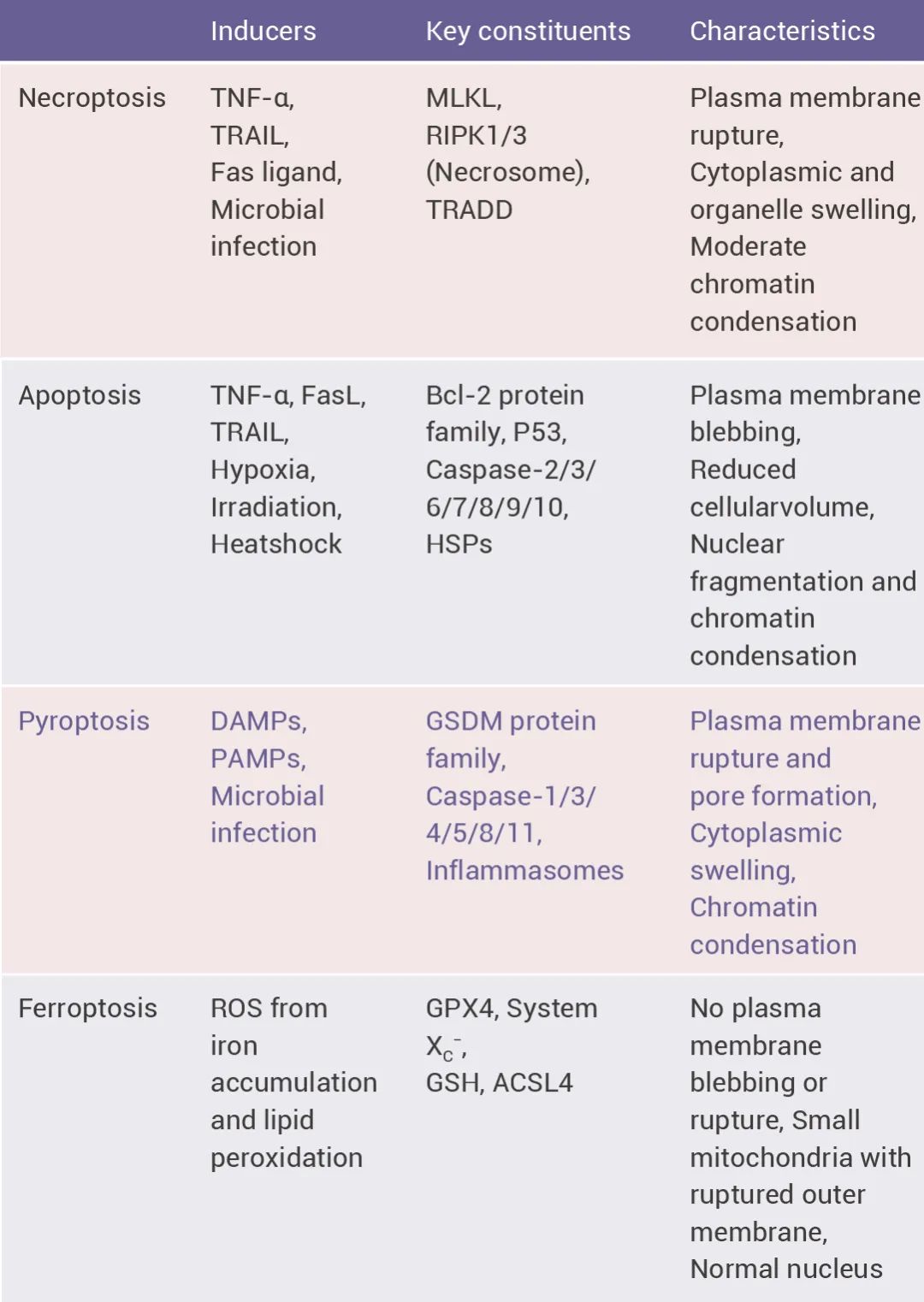 细胞的第 N 种死法：细胞焦亡！ | MedChemExpress (MCE)_细胞焦亡 肿瘤胞内菌-CSDN博客