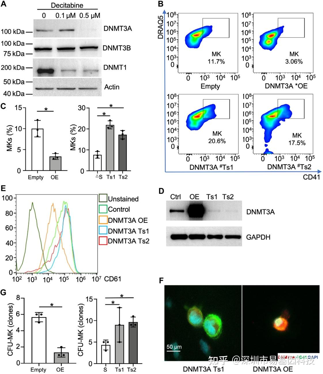 易基因：Sci Adv：WGBS+ChIP-seq揭示DNA甲基化在异基因造血干细胞移植后延迟血小板恢复中的关键作用 | 项目文章-CSDN博客
