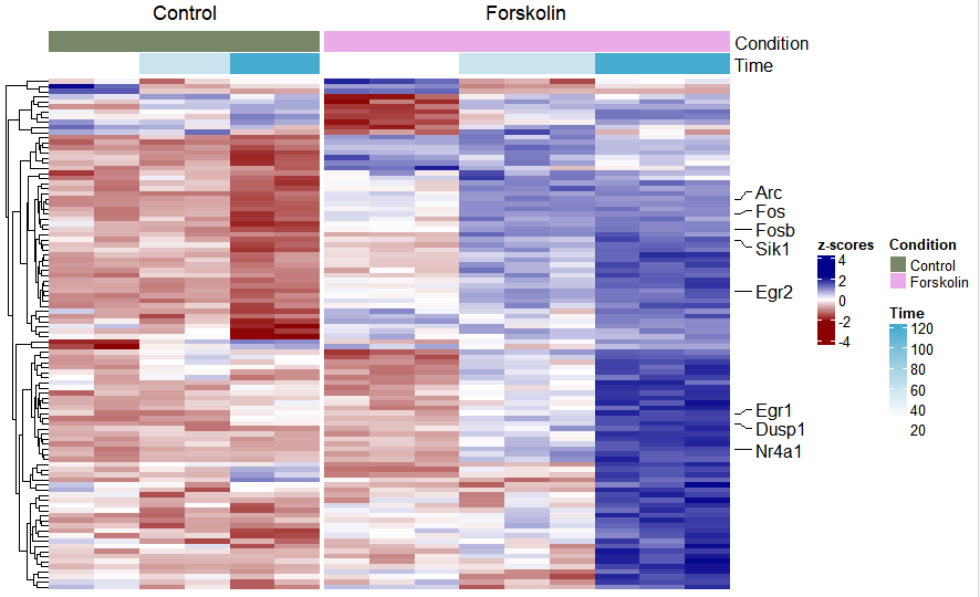 sechm包：简化ComplexHeatmap热图绘制-CSDN博客