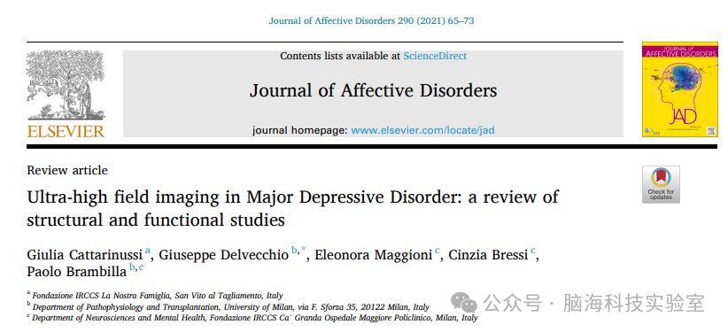 往期精彩|Journal of Affective Disorder:重度抑郁症的超高场成像:结构和功能研究-CSDN博客