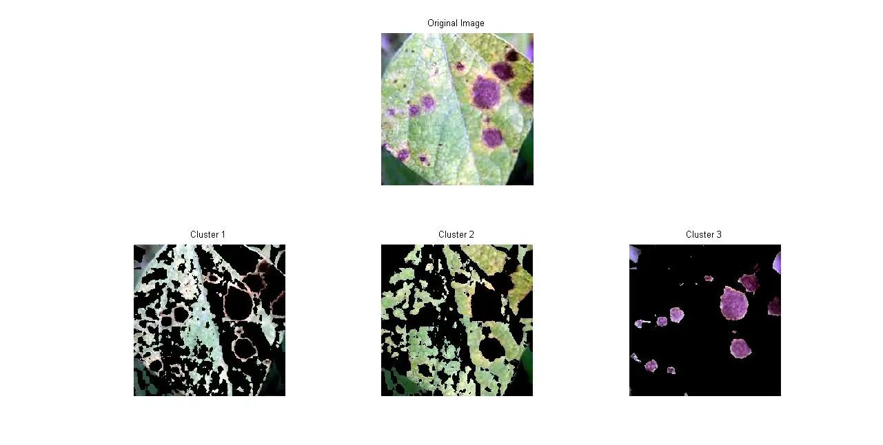 【图像识别】基于支持向量机SVM的农作物叶子虫害识别与分类附Matlab代码-CSDN博客