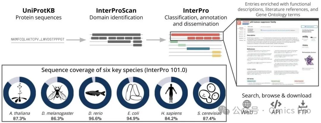 2025蛋白质序列分类数据库InterPro_interpro数据库-CSDN博客