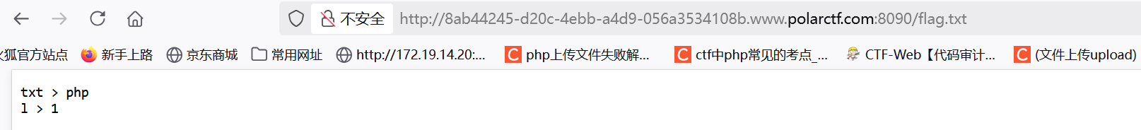 polarctf2025夏季赛web_polarctf 2025年夏季个人挑战赛 writeup-CSDN博客