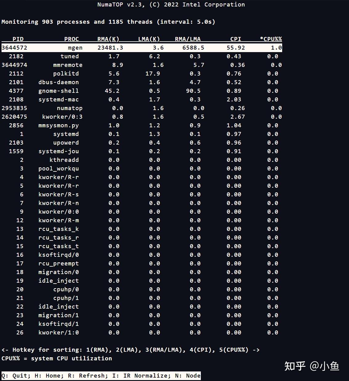 【Linux工具系列】Numa观测工具NumaTOP-CSDN博客