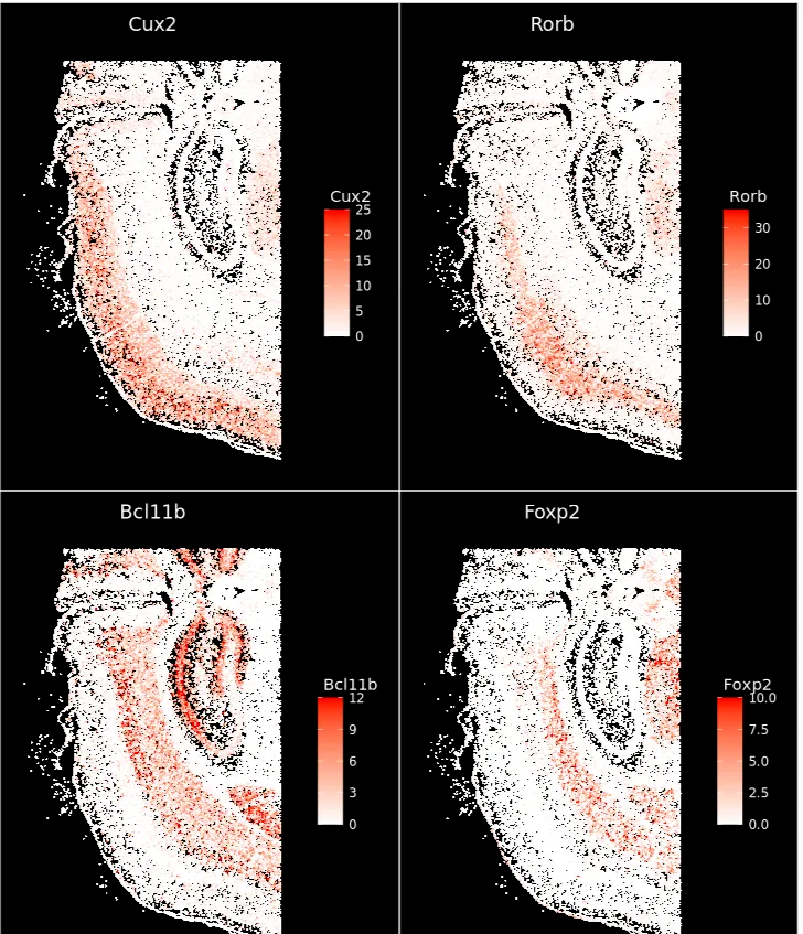 必看！Seurat赋能 Xenium空间转录组学分析全攻略-CSDN博客
