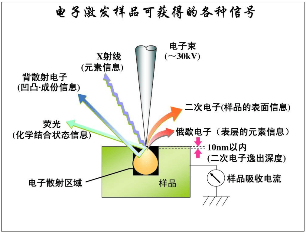 聚焦离子束-扫描电子显微镜（FIB-SEM）：基本原理与核心部件 _plasma fib原理-CSDN博客