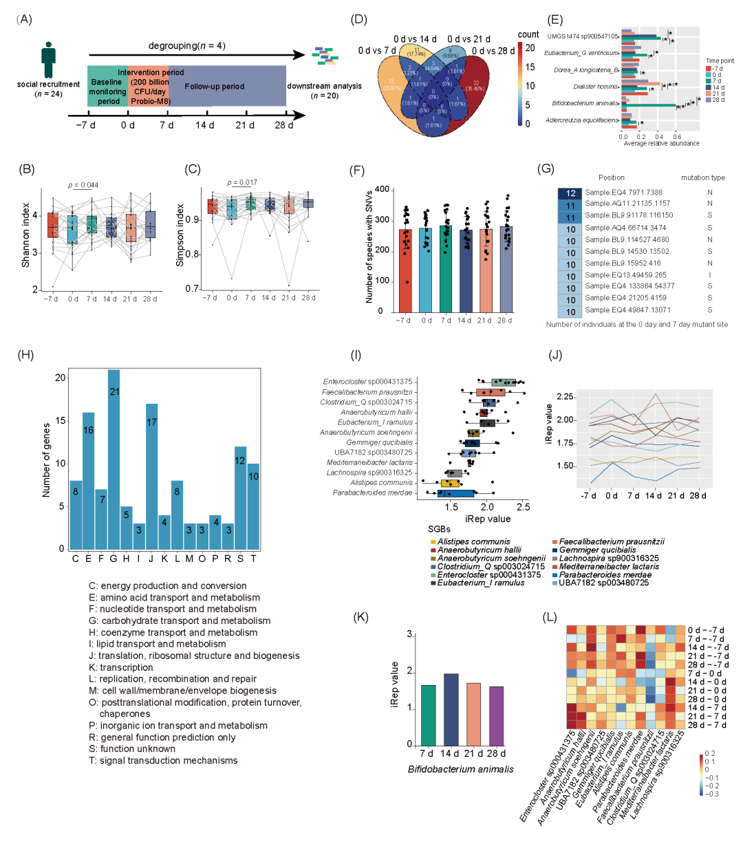 iMeta | 内蒙古农业大学-解析益生菌对本地肠道微生物群的影响-CSDN博客