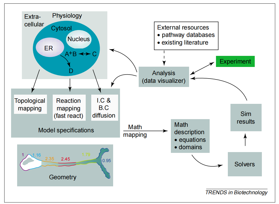 AIDD - 虚拟细胞:计算细胞生物学的软件环境_aidd软件-CSDN博客
