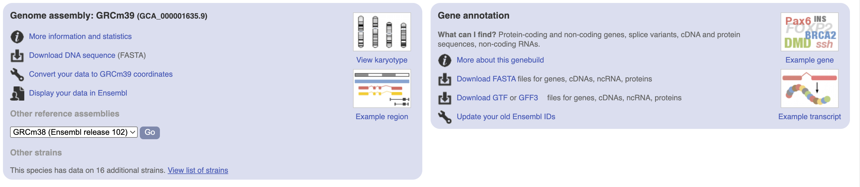RNA-seq数据上游处理完整流程_conda运行rna-seq脚本-CSDN博客