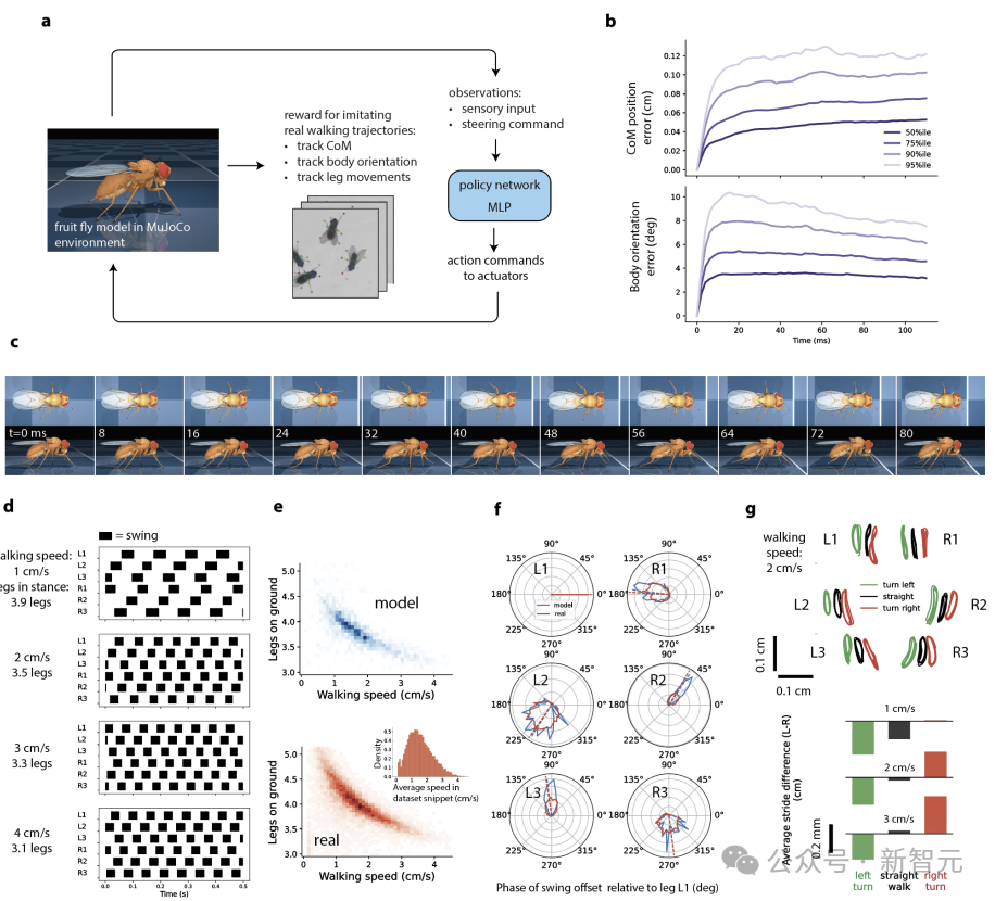 DeepMind果蝇登上Nature！强化学习再立功！AI模拟飞行，逼真到腿毛颤抖！-CSDN博客