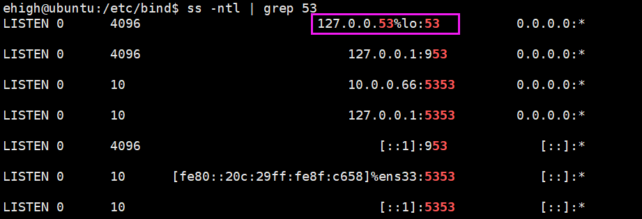 Linux使用Bind搭建DNS服务: 从菜鸟到网络大神的进阶之路[收藏级]_bind dns-CSDN博客