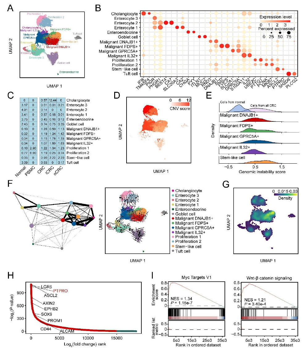 GUT (IF: 23.0) | 单细胞+空间转录组破译结直肠癌异质肿瘤干细胞器官特异性转移机制_结肠癌转移 干性 单细胞测序-CSDN博客