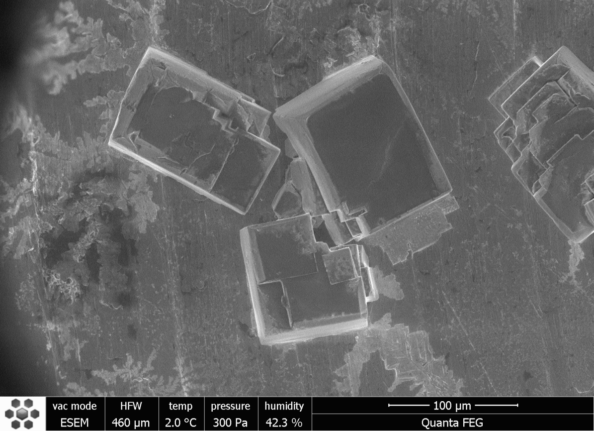 突破真空枷锁-环境扫描电镜（ESEM）原位表征“自然状态”样品_水凝胶溶胀状态下网络结构的变化esem观测-CSDN博客