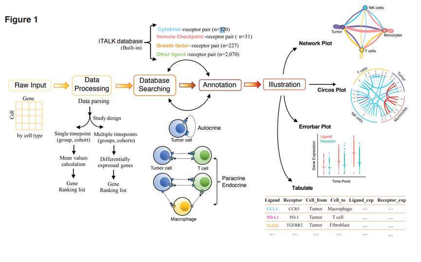 scRNA-Seq细胞通讯之《iTalk学习手册》_italk 细胞通讯-CSDN博客