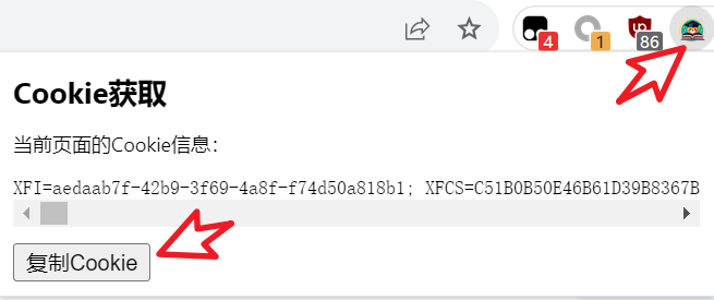 两种浏览器Cookie获取方法实践指南_cookie获取器-CSDN博客