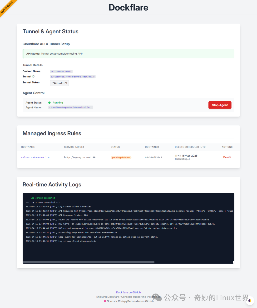 无需公网 IP！这款开源神器让你本地 Docker 服务也能秒变全球访问-CSDN博客