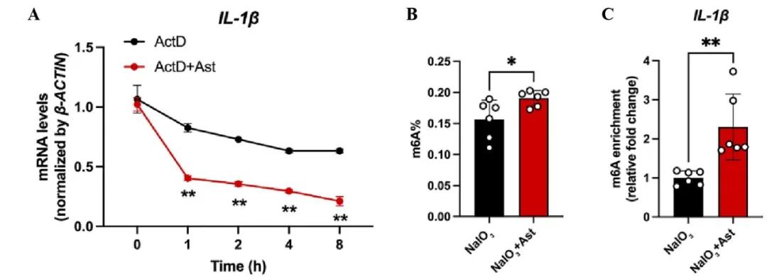 中药单体调控m6A甲基化修饰解锁靶点研究新思路_中药 m6a-CSDN博客
