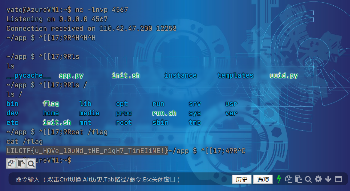 2025 LilCTF Web部分wp_php-jail-is-my-cry-CSDN博客