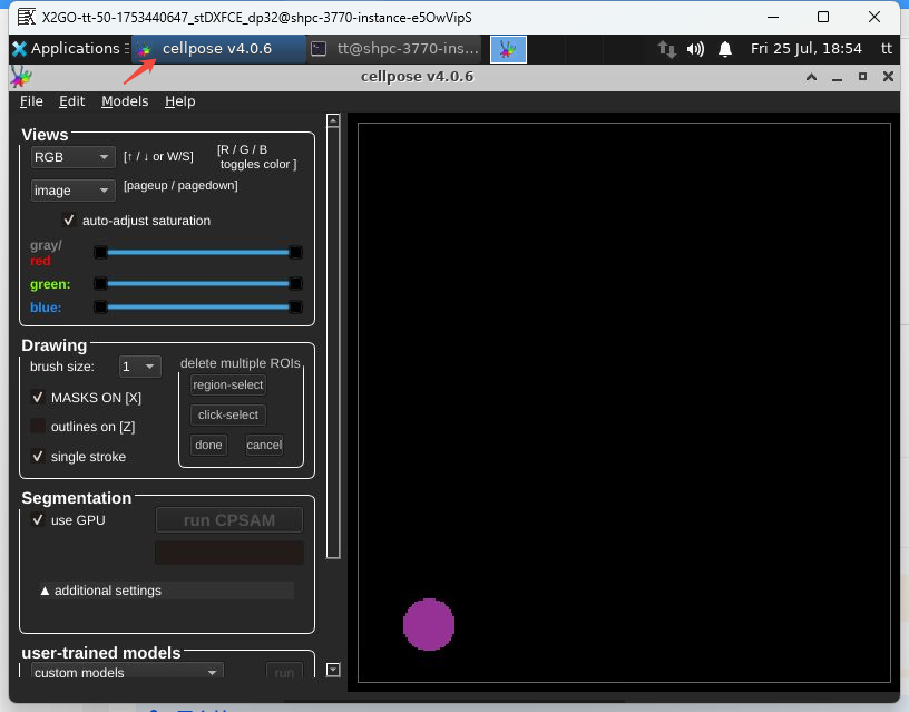 服务器使用Cellpose快速入门指南-CSDN博客