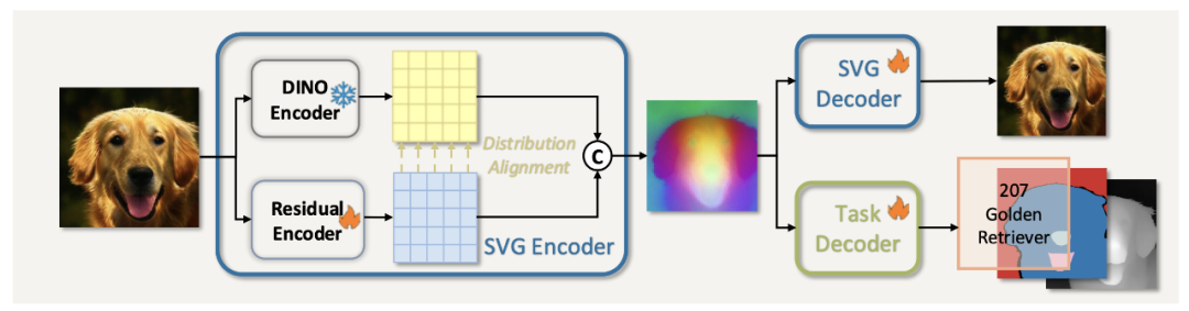 “撞车”谢赛宁团队新作RAE？清华&可灵团队提出SVG：无VAE扩散模型-CSDN博客